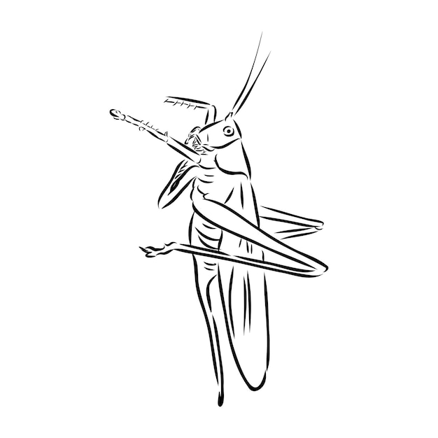 Elegant Praying Mantis Silhouette Design | Jiffy Designs