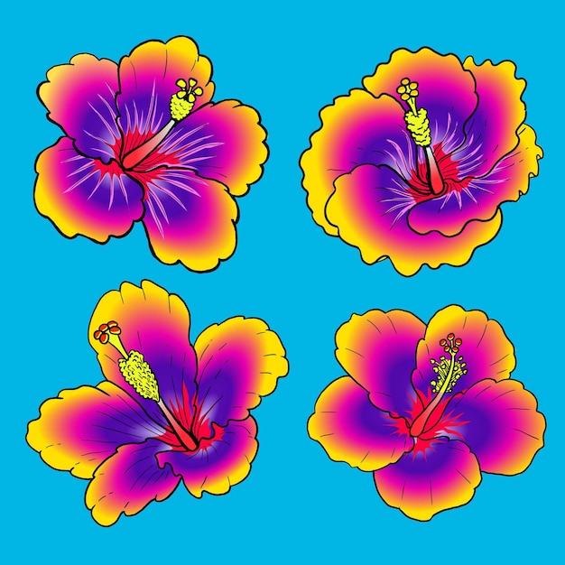 Vibrant Tropical Hibiscus Flowers in Vibrant Colors | Jiffy Designs