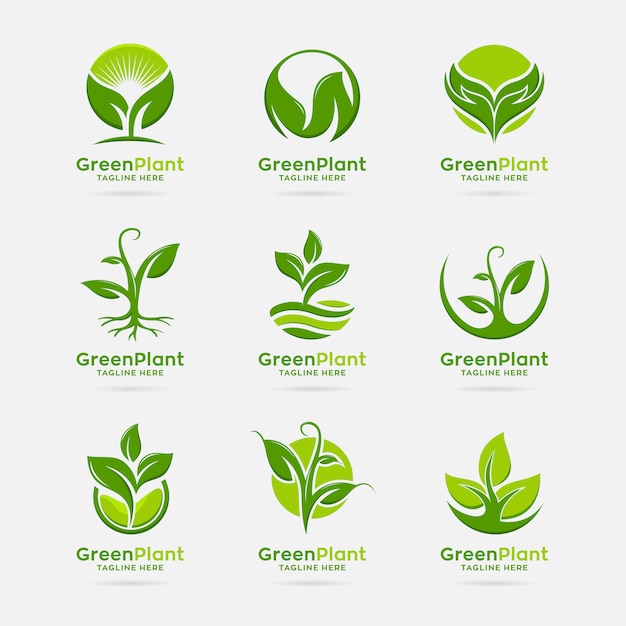 Vibrant Green Plant Logos with Leaf and Nature Motifs | Jiffy Designs