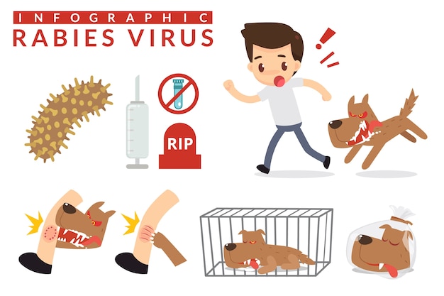 Infographic Depicting the Dangers of the Rabies Virus | Jiffy Designs