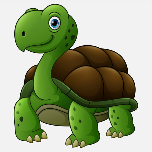 Illustration Of Funny Turtle Cartoon | Jiffy Designs