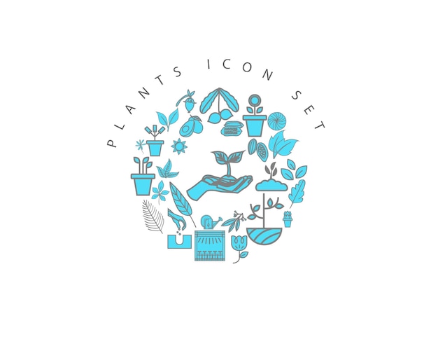 Vibrant Botanical Iconography Showcasing Nature's Splendor | Jiffy Designs
