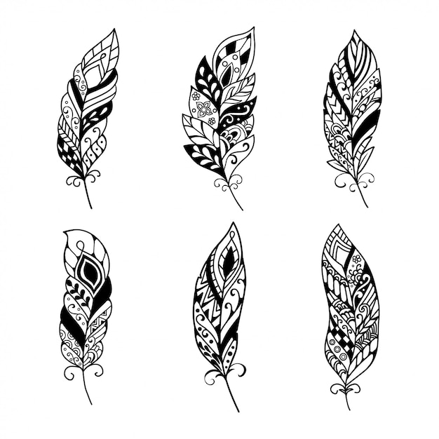 Intricate Feathers: Elegant Monochrome Designs with Ornate Patterns ...