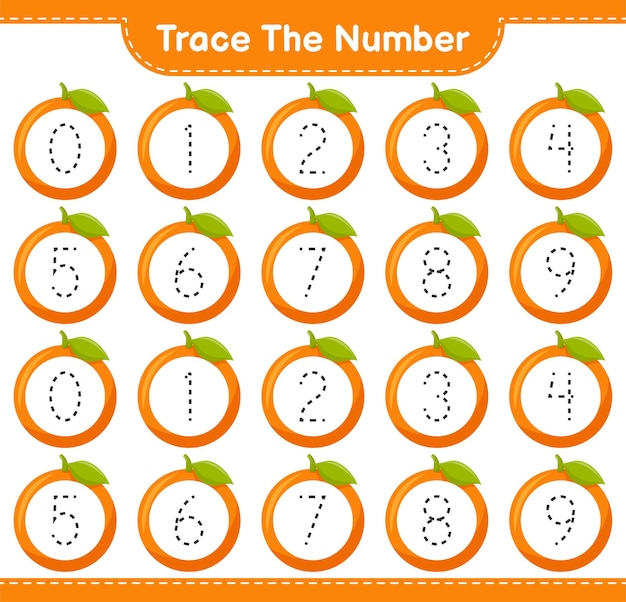 Tracing Numbers on Vibrant Orange Citrus Fruit Slices | Jiffy Designs