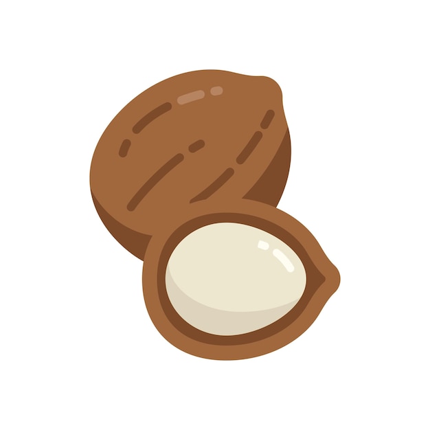 Delightful Coconut Halves with Natural Textures | Jiffy Designs