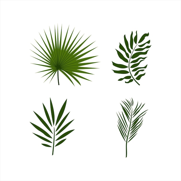 Vibrant Tropical Leaves Motif Collection | Jiffy Designs