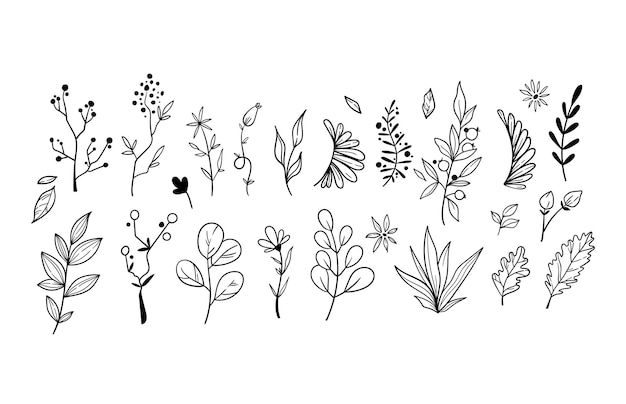Botanical Doodle Elements Collection in Black and White Lineart | Jiffy ...