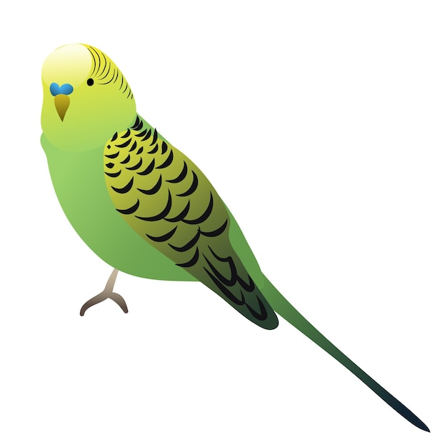 Vibrant Green Parakeet with Striking Feather Patterns | Jiffy Designs