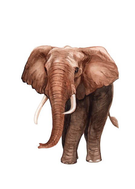 Majestic Pachyderm: A Powerful Elephant in Vibrant Hues | Jiffy Designs