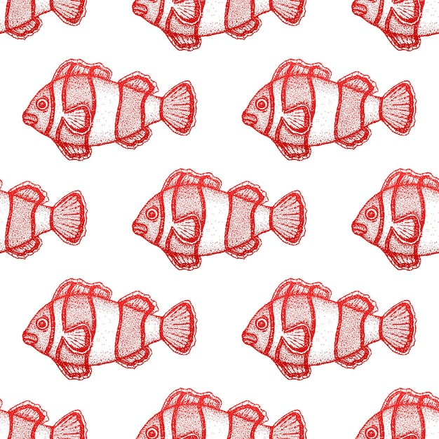Vibrant Clownfish Pattern: Underwater Delight | Jiffy Designs