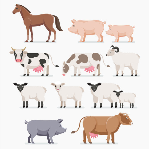 Animal Farm Set The Horse Pig Cow Goat And Sheep Flat Design | Jiffy ...