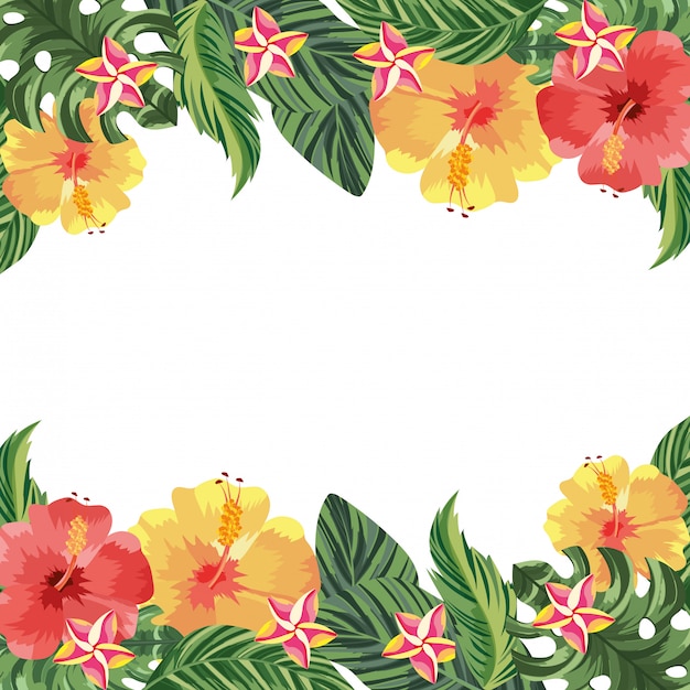 Vibrant Tropical Floral Border with Hibiscus and Palm Leaves | Jiffy ...