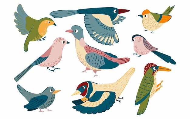Vibrant Collection of Whimsical Bird Illustrations | Jiffy Designs