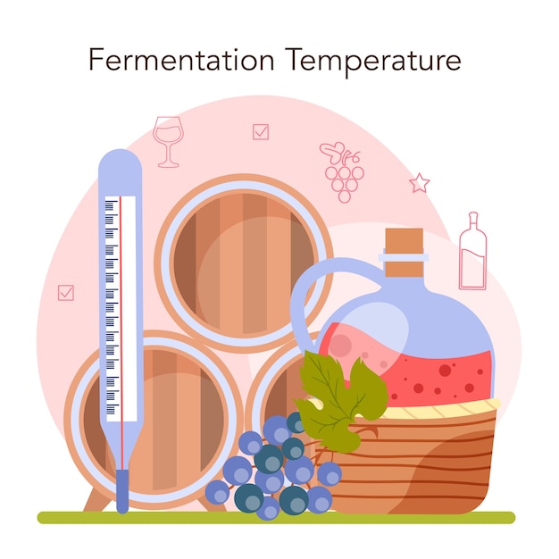Optimal Fermentation Temperature Visualized with Barrels and Wine ...