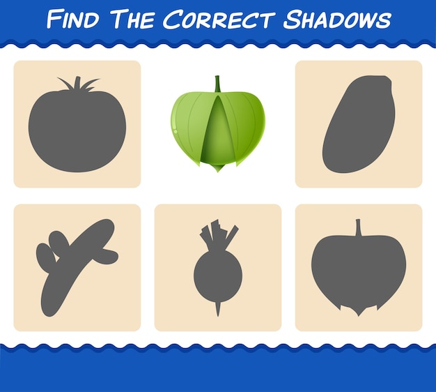 Vibrant Produce Silhouettes: Matching Shadows for Fruits and Veggies ...