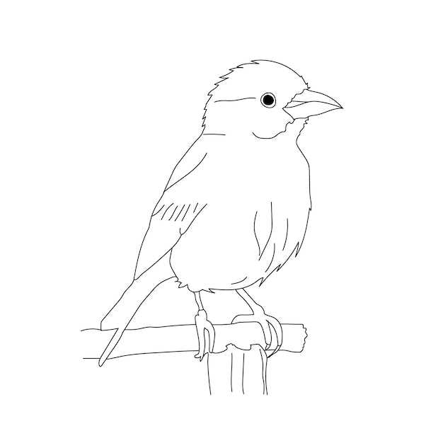 Charming Outline Illustration of a Perched Bird | Jiffy Designs