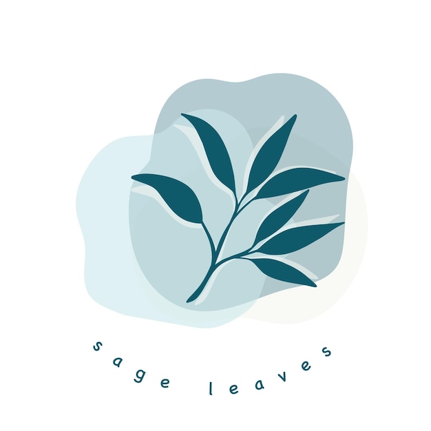 Serene Sage Leaves Botanical Illustration | Jiffy Designs