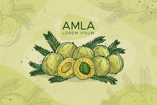 Vibrant Amla Fruit Cluster with Lush Foliage | Jiffy Designs