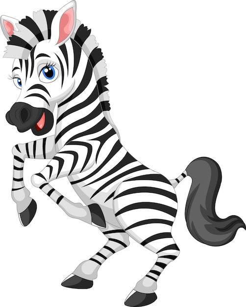 Playful Zebra with Vibrant Stripes and Expressive Eyes | Jiffy Designs