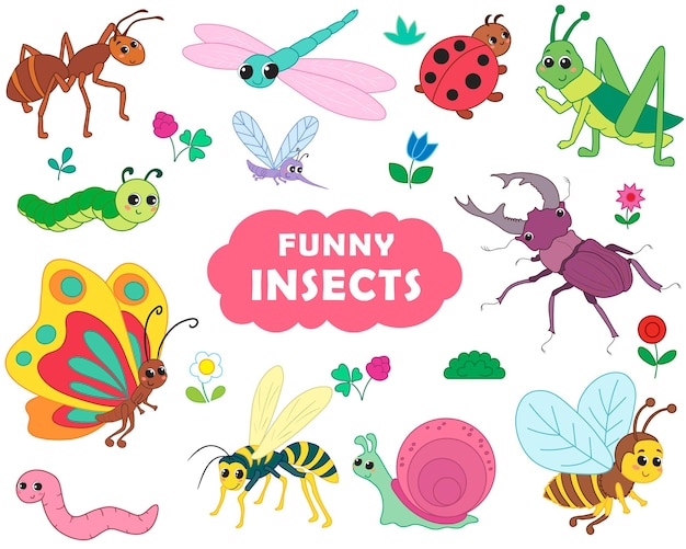 Vibrant Collection of Whimsical and Colorful Insects | Jiffy Designs