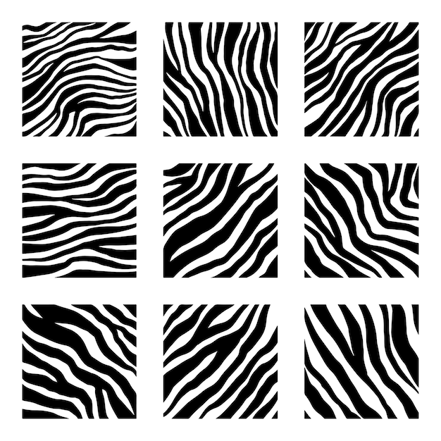 Captivating Zebra-Inspired Patterns: A Versatile Collection | Jiffy Designs