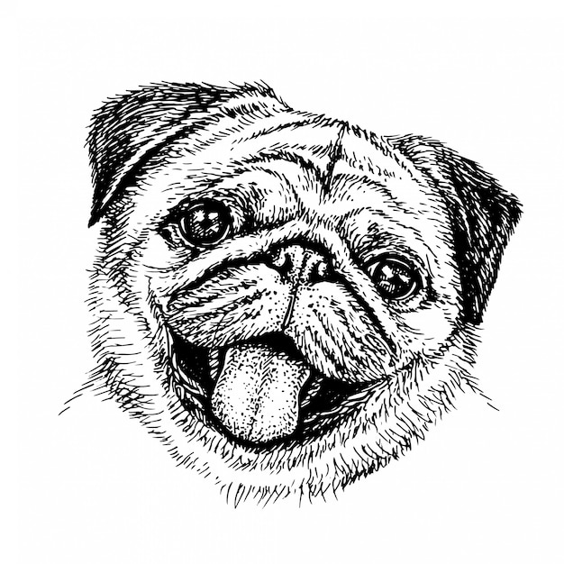 Whimsical Pug Portrait in Bold Monochrome Sketch | Jiffy Designs