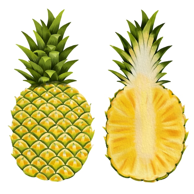Vibrant Pineapple Duo: Whole and Sliced Tropical Delight | Jiffy Designs
