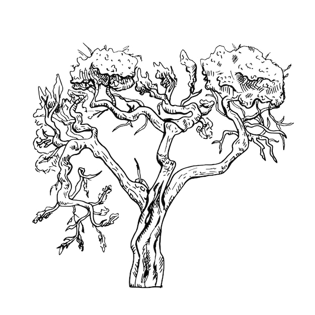 Enchanting Twisted Tree with Whimsical Branches | Jiffy Designs