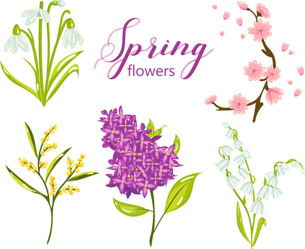 Vector Spring Flower Set With Lilac, Lily Of The Valey, Snowdrop ...