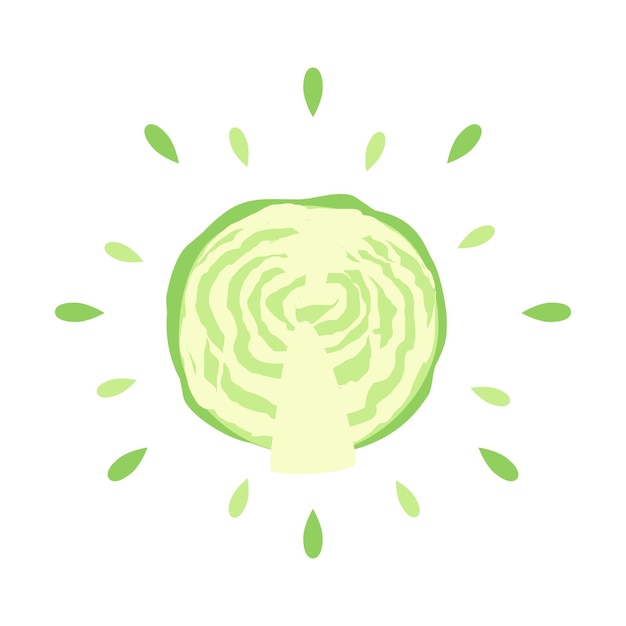 Vibrant Cabbage Burst with Lively Green Leaves | Jiffy Designs
