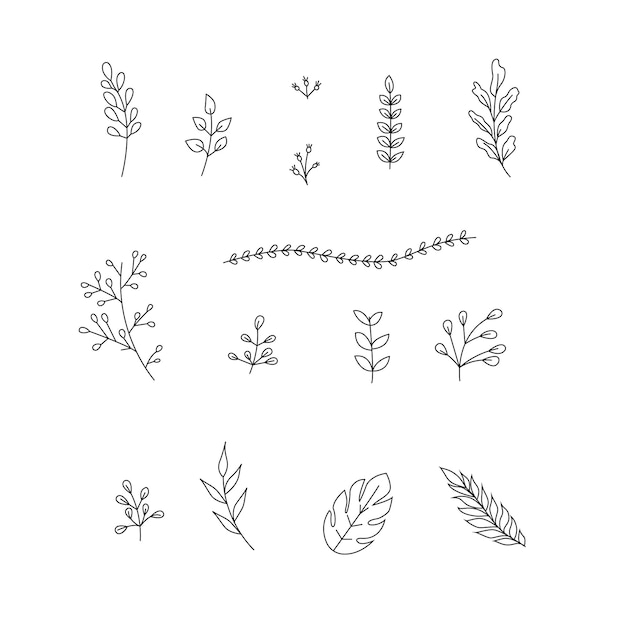 Botanical Leaf Illustrations - Diverse Foliage Line Art Collection ...