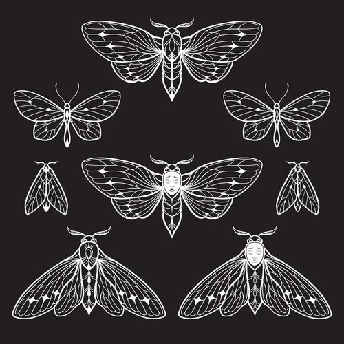 Moths And Butterflies Hand Drawn Line Art Gothic Tattoo Design Set ...