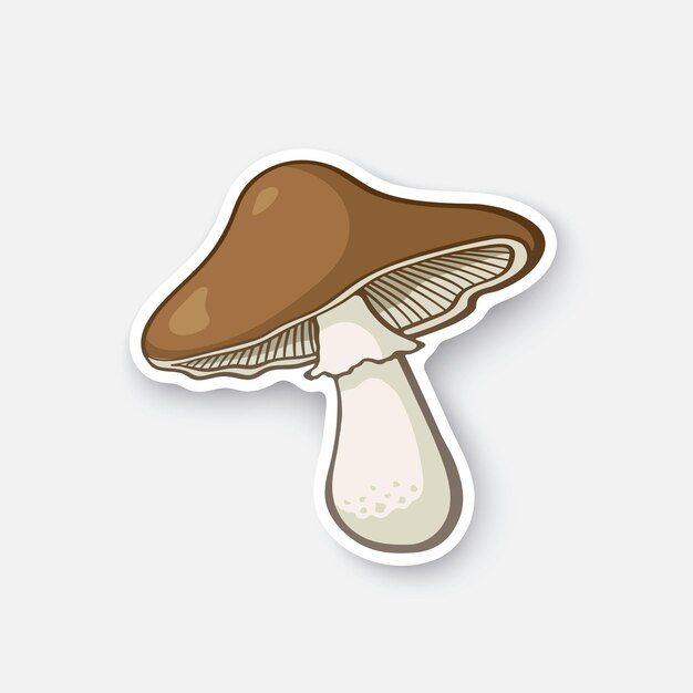 Earthy Mushroom Illustration with Organic Textures | Jiffy Designs
