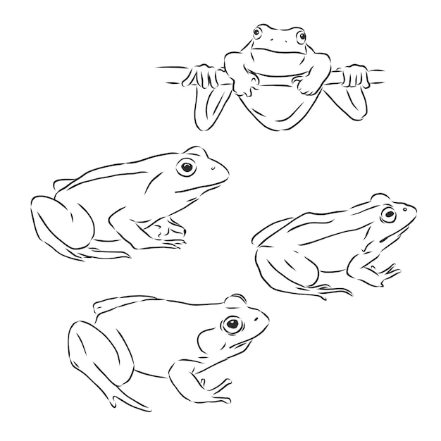 Delightful Frog Collection: Whimsical Amphibian Illustrations | Jiffy ...