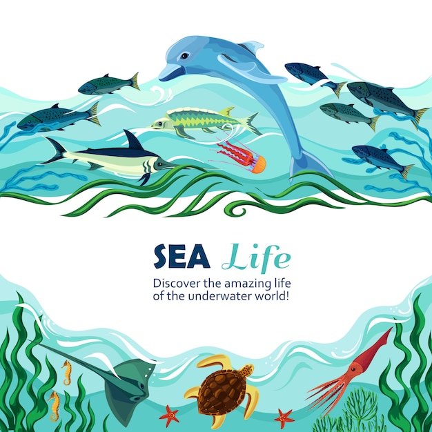 Discover the Vibrant Underwater Realm of Sea Life | Jiffy Designs