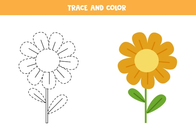 Vibrant Daisy Flower with Tracing Lines | Jiffy Designs