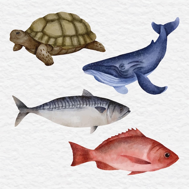 Vibrant Marine Life: Turtle, Whale, and Tropical Fish | Jiffy Designs