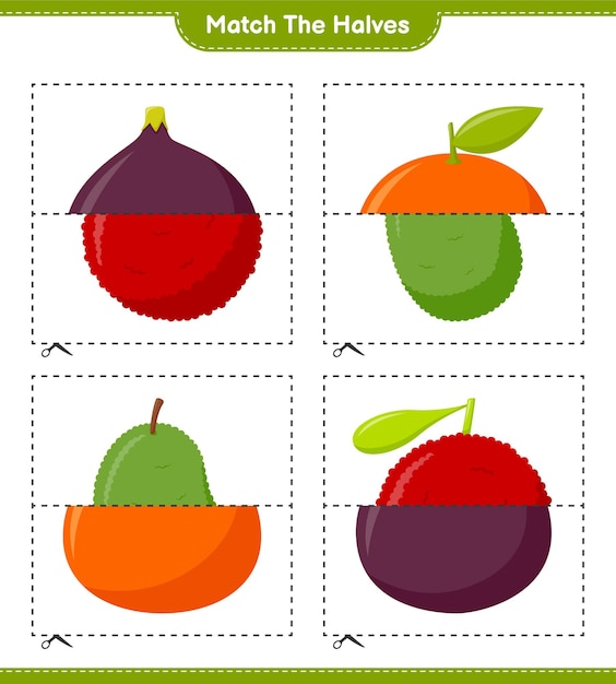 Vibrant Fruit Halves: A Playful Collection of Complementary Shapes and ...