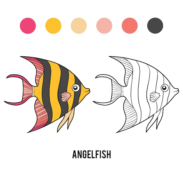 Vibrant Angelfish with Striking Patterns and Colors | Jiffy Designs