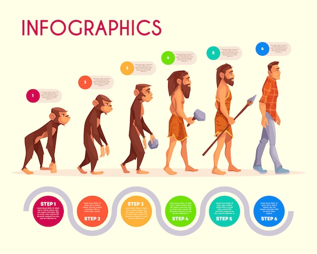 The Evolutionary Journey of Humankind: Infographic Depicting Stages of ...