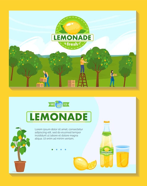 Vibrant Lemon-Themed Orchard Landscape with Fresh Lemonade | Jiffy Designs