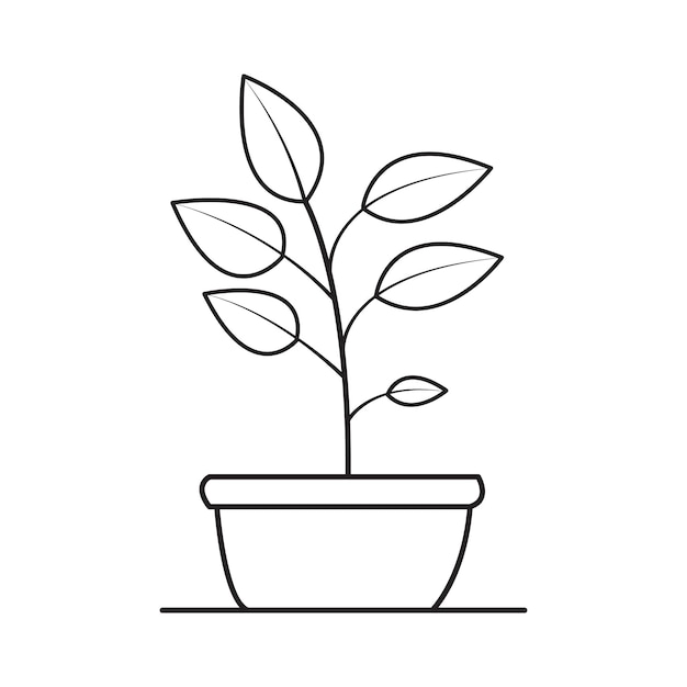 Line Art Potted Plant Drawing on White Background | Jiffy Designs