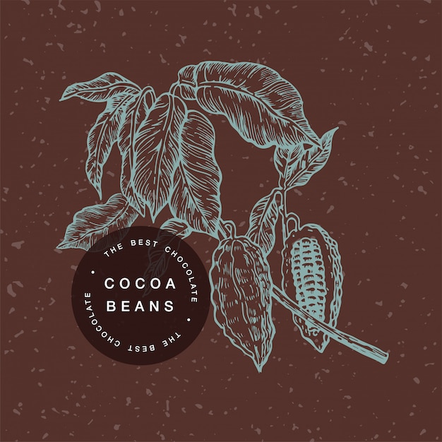 Lush Cocoa Bean Plant with Detailed Foliage and Pods | Jiffy Designs