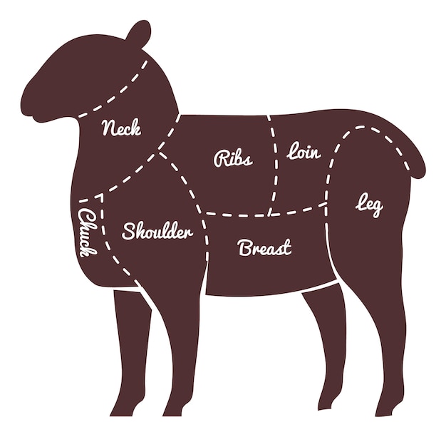 Detailed Butcher's Diagram of a Lamb Carcass | Jiffy Designs