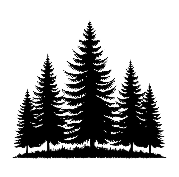 Majestic Evergreen Forest Silhouette - Serene Nature Landscape | Jiffy ...