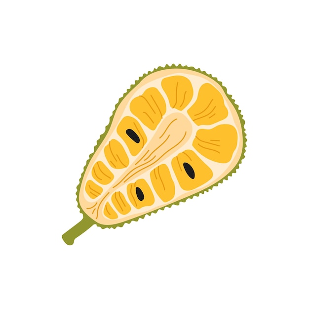 Vibrant Sliced Durian Fruit Showcasing Its Unique Texture and Flavor ...