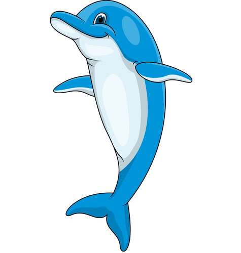 Smiling Dolphin Cartoon | Jiffy Designs