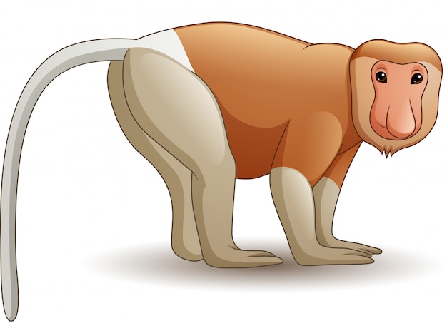 Cartoon Illustration of a Proboscis Monkey with Distinctive Features ...