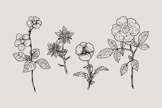 Intricate Hand-Drawn Botanical Illustrations of Flowering Plants ...