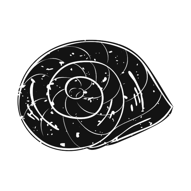 Cosmic Seashell: A Celestial Spiral of Galactic Splendor | Jiffy Designs